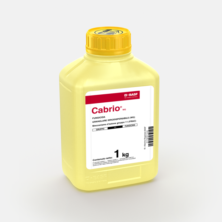CABRIO WG 1KG- BASF - Agrotek