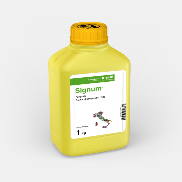 SIGNUM 1KG- BASF - Agrotek